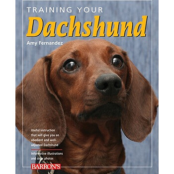 【】Training Your Dachshund
