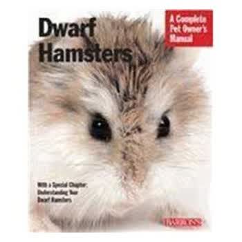 【】Dwarf Hamsters: Everything about