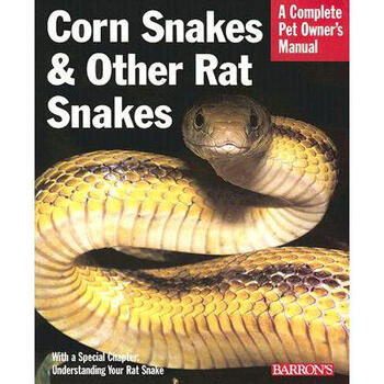 Corn Snakes and Other Rat Snakes: Everything...