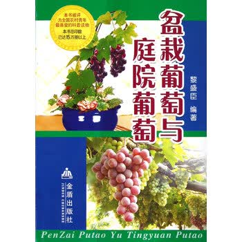 盆栽葡萄与庭院葡萄