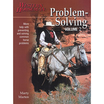 【】Problem-Solving: More Help with