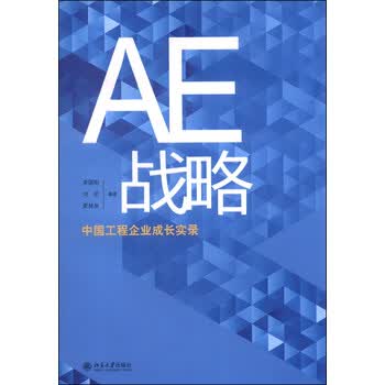 AE战略：中国工程企业成长实录