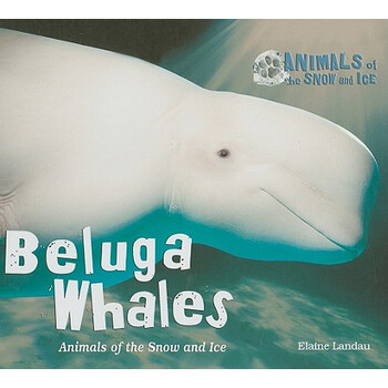 【】Beluga Whales