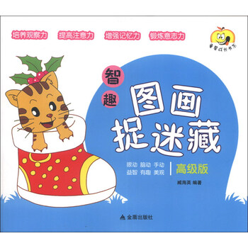童星成长书系：智趣图画捉迷藏（高级版）