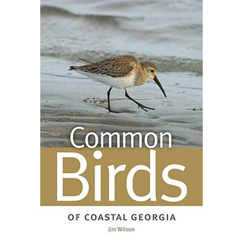 【】Common Birds of Coastal Georgia