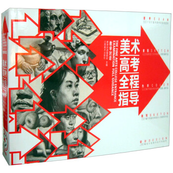 正版 美术高考全程指导教学对话9787548002543