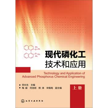 现代磷化工技术和应用（上）