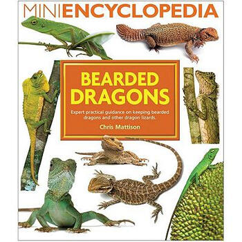 Bearded Dragons