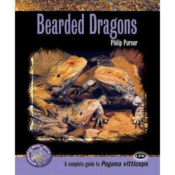 【】Bearded Dragons