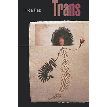 【】Trans