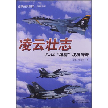 经典战史回眸·兵器系列·凌云壮志：F－14“雄猫”战机传奇