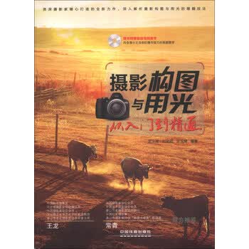 {正版新书}摄影构图与用光从入门到精通9787113168438