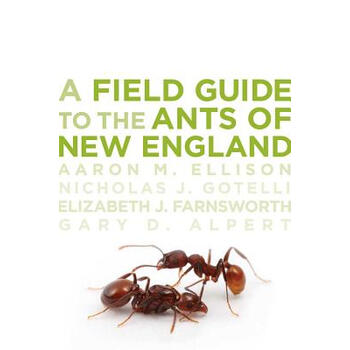 【】A Field Guide to the Ants of New