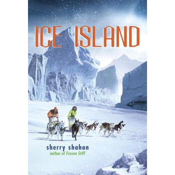 【】Ice Island