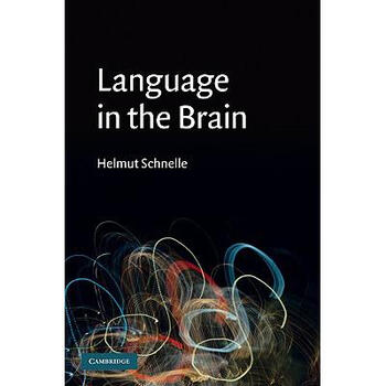Language in the Brain