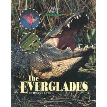 【】The Everglades