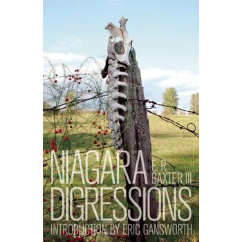 【】Niagara Digressions