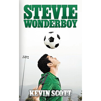 【】Stevie Wonderboy