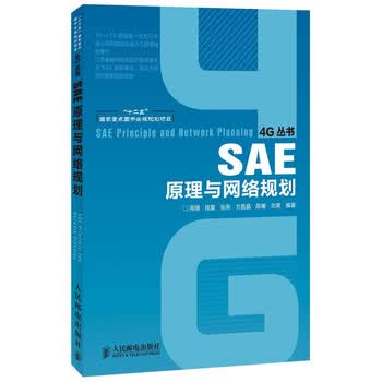 正版 SAE原理与网络规划9787115321497周晴[等]编著