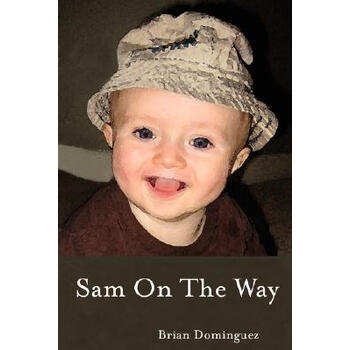 【】Sam on the Way