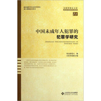 正版 京师刑事法文库：中国未成年人犯罪的犯罪学研究9787303139811