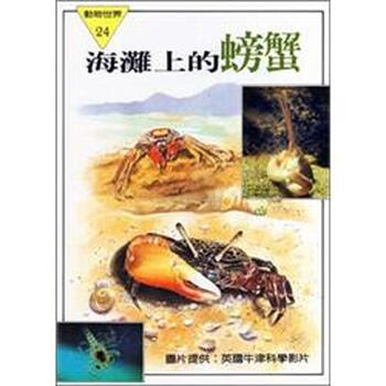 海灘上的螃蟹