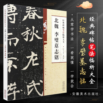 正版北魏 李璧墓志铭 经典碑帖笔法临析大全 附笔法解析 楷书毛笔字帖临摹入门教材 安徽美术 魏碑字帖