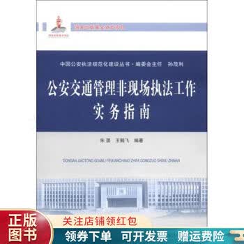 中国公安执法规范化建设丛书：公安交通管理非现场执法工作实务指南