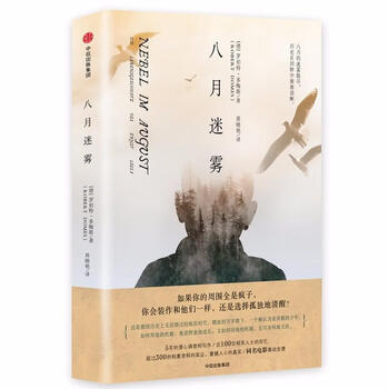 八月迷雾 (德)罗伯特？多梅斯 中信出版社
