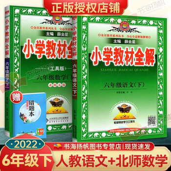 可选】小学教材全解六年级教材解读 下册 人教语文+北师数学2本 薛金星课本同步辅导资料书部编版