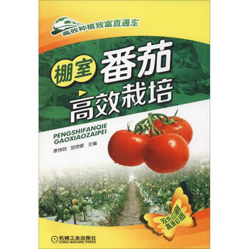 棚室番茄高效栽培