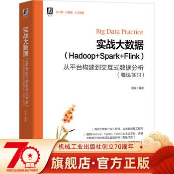 官网正版 实战大数据 Hadoop+Spark+Flink 从平台构建到交互式数据分析 离线\/实时