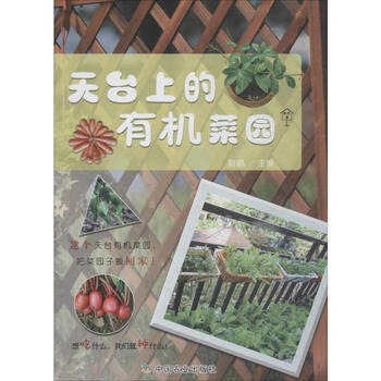 天台上的有机菜园
