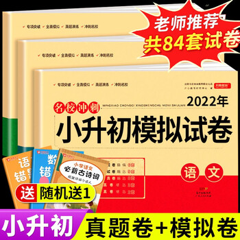 2021小升初模拟真题卷刷题人教版语文数学英语部编六年级下册总复习教辅资料全套专项训练模拟试卷卷子 3册 小升初模拟试卷 语数外