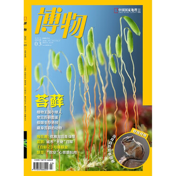 博物 杂志2022年1/2/3期/2021年1/2/3/4/5/6/7/8/9/10/11/12期打包 中国国家地理青少年版6-12岁中小学生课外阅读科普百科全书期刊 博物君张辰亮 2022年3期【苔