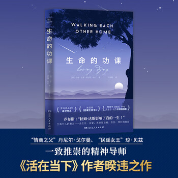 生命的功课 拉姆 达斯著 媲美 西藏生死书 重塑心灵世界的人生启示录 现代人安顿心灵的智慧书 湖南人民出版社