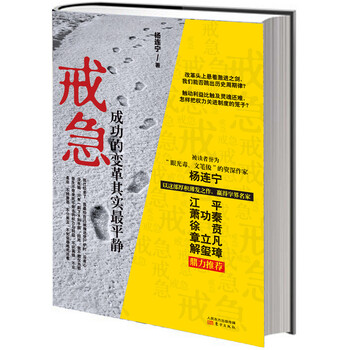戒急:成功的变革其实平静 杨连宁 东方出版社