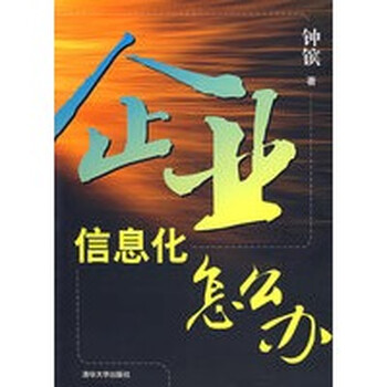 企业信息化怎么办 钟镔