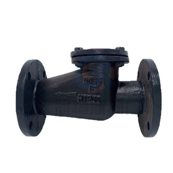 定制H44T-10/16铸铁法兰旋启式止回阀污水单向逆止阀DN80 100 200 DN450【图片 价格 品牌 报价】-京东