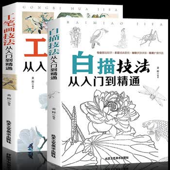 全套2册正版 白描技法从入门到精通+工笔画技法从入门到精通 写意花卉草虫美术绘画教材书籍 零基础教程
