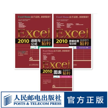 正版/Excel 2010函数与公式 图表 数据处理与分析实战技巧精粹 套装3册 Excel应用大全