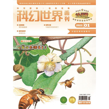 《科幻世界画刊》（小牛顿）2022年1期蜜蜂去哪儿了+与海洋共存的荷兰+塑料面面观+神奇的水 少儿科普 少儿幻想