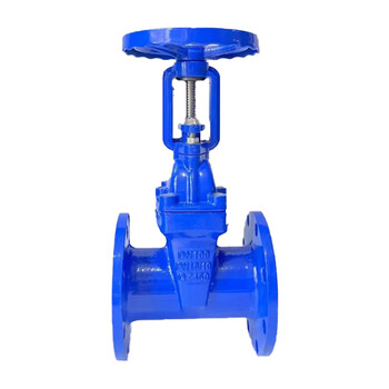 【丰稚DN50-DN300】丰稚 明杆铜芯闸阀（球墨）Z41T-16Q 铜芯阀门 DN50 【行情 报价 价格 评测】-京东