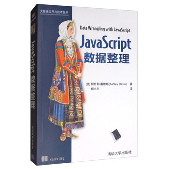 JavaScript数据整理/大数据应用与技术丛书