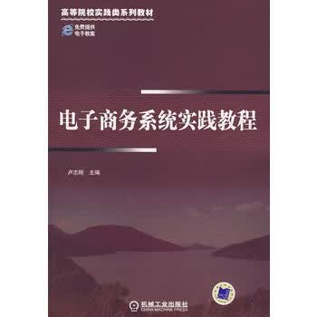 电子商务系统实践教程【正版图书】