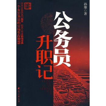 公务员升职记 孙雄 著