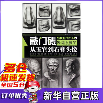 从五官到石膏头像/敲门砖系列美术丛书