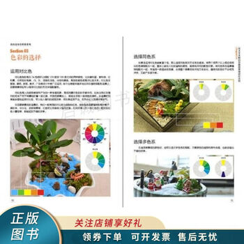 我的迷你苔藓微景观