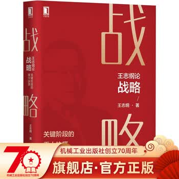 官网王志纲论战略:关键阶段的重大抉择 王志纲著 战略认知分析制定实践 教你关键阶段如何抉择企业管理书籍