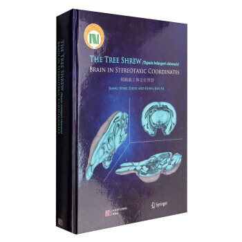 树鼩脑立体定位图谱(英文) 周江宁,倪荣军 科学出版社有限责任公司